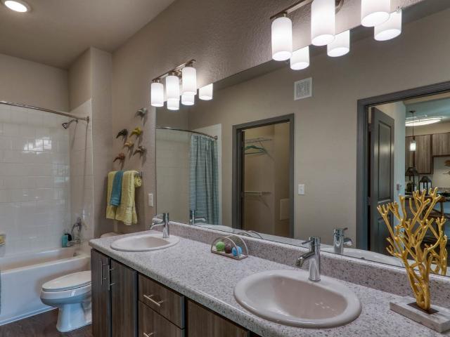 The Ridley 1 Bedroom Apartment for Rent at 12517 Beach Blvd, Jacksonville, FL 32246 Sandalwood