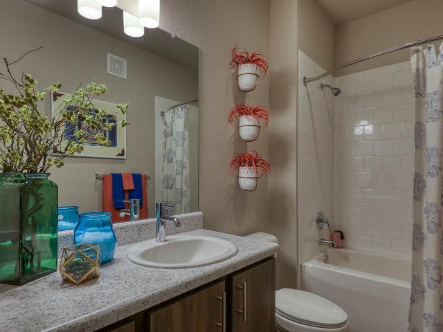 The Ridley 1 Bedroom Apartment for Rent at 12517 Beach Blvd, Jacksonville, FL 32246 Sandalwood