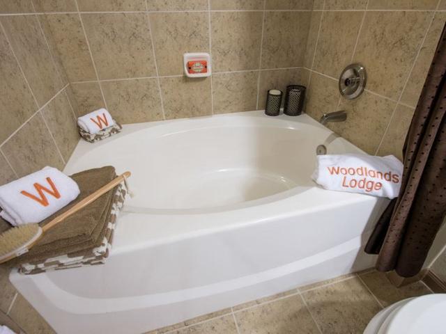 The Woodlands Lodge Apartments 1 Bedroom Apartment for Rent at 2500 S Millbend Dr, The Woodlands, TX 77380 Grogan's Mill