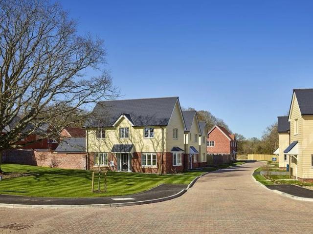 The Woodlands
