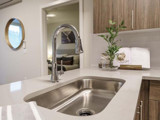 The Woods on Marquam Hill Studio Apartment for Rent at 1311 Sw Gibbs St, Portland, OR 97239 Homestead