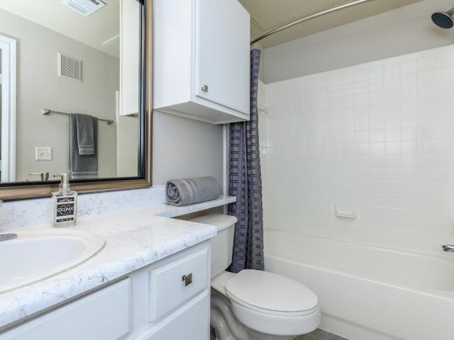 The Woods Of Five Mile Creek 1 Bedroom Apartment for Rent at 6010 S Westmoreland Rd, Dallas, TX 75237 Redbird