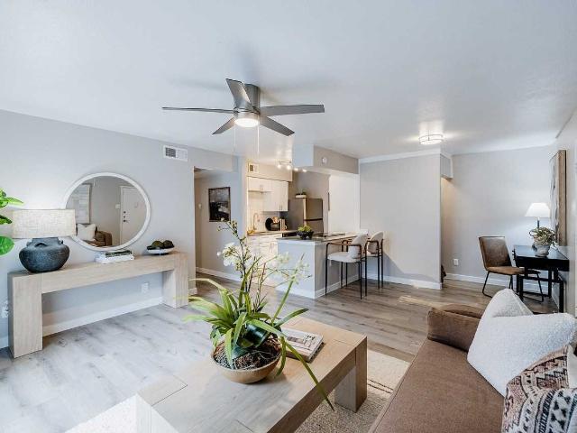 The Washington Apartment Homes 2 Bedroom Apartment for Rent at 707 Washington Dr, Arlington, TX 76011