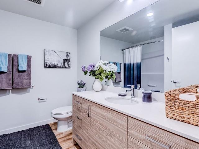 The Wilcox Studio Apartment for Rent at 2003 Nw 57th St, Seattle, WA 98107 Adams