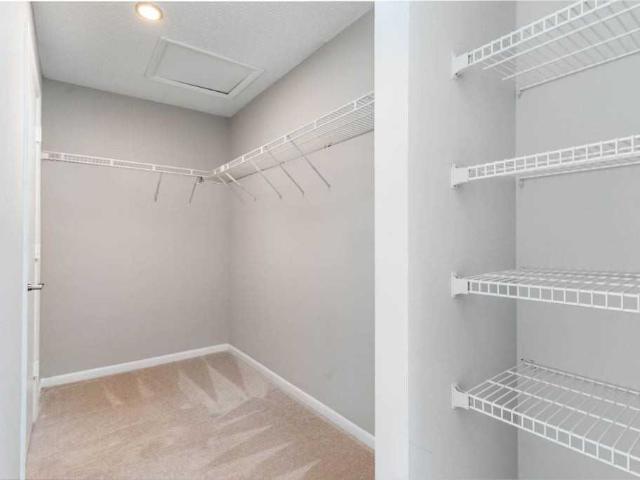 The Willow 2 Bedroom Apartment for Rent at 414 Mill Creek Ct, Wilmington, NC 28403