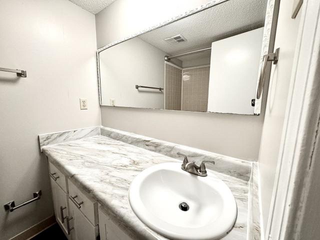 The Willows 1 Bedroom Apartment for Rent at 632 23rd St E, Tuscaloosa, AL 35401