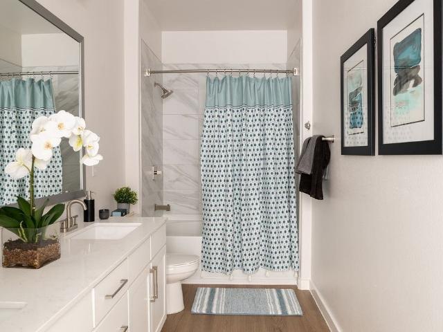 The Townsend 1 Bedroom Apartment for Rent at 403 Westinghouse Rd, Georgetown, TX 78626