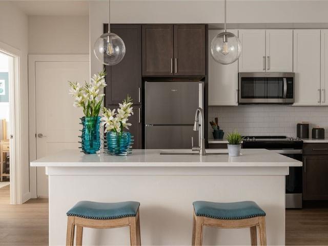 The Townsend 1 Bedroom Apartment for Rent at 403 Westinghouse Rd, Georgetown, TX 78626