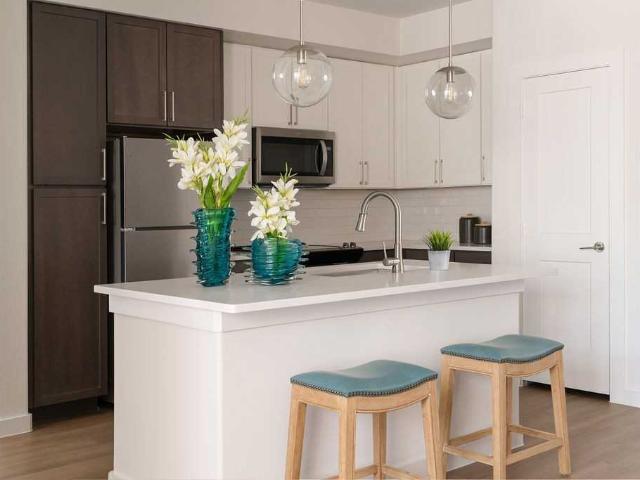 The Townsend 1 Bedroom Apartment for Rent at 403 Westinghouse Rd, Georgetown, TX 78626