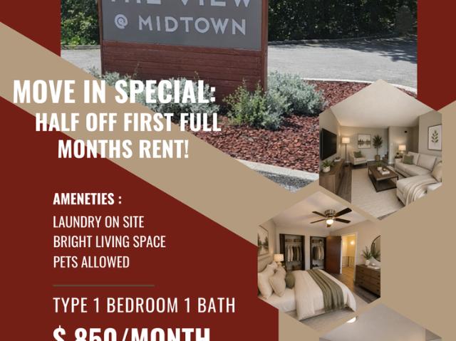 The View at Midtown 1 Bedroom Apartment for Rent at 3700 Cherryton Dr, Chattanooga, TN 37411 Brainerd