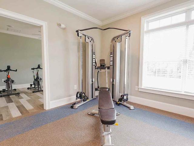 The View at Paris Mountain 1 Bedroom Apartment for Rent at 9001 High Peak Dr, Greenville, SC 29609