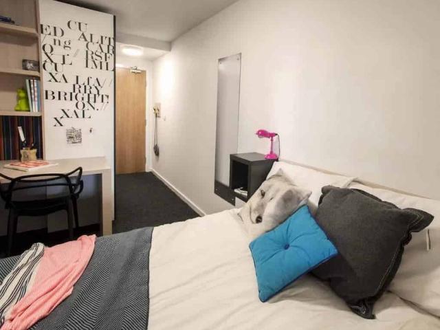 The View Newcastle Upon Tyne Student Accommodation| Amber