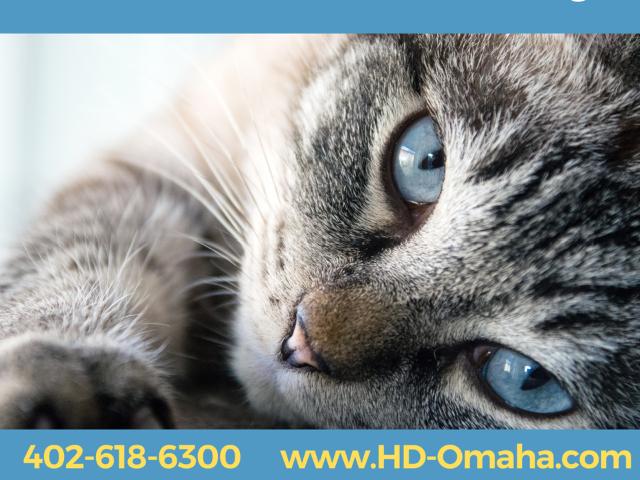 The Village 2 Bedroom Apartment for Rent at 3057 S 41st St, Omaha, NE 68105 Hanscom Park