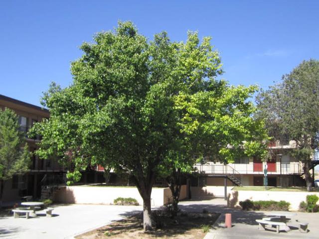 The Villas @ Uptown Studio Apartment for Rent at 6230 Indian School Rd Ne, Albuquerque, NM 87110 Uptown