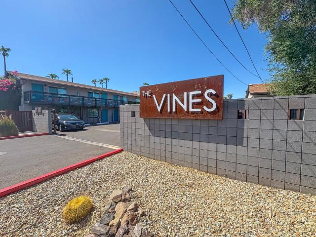 The Vines