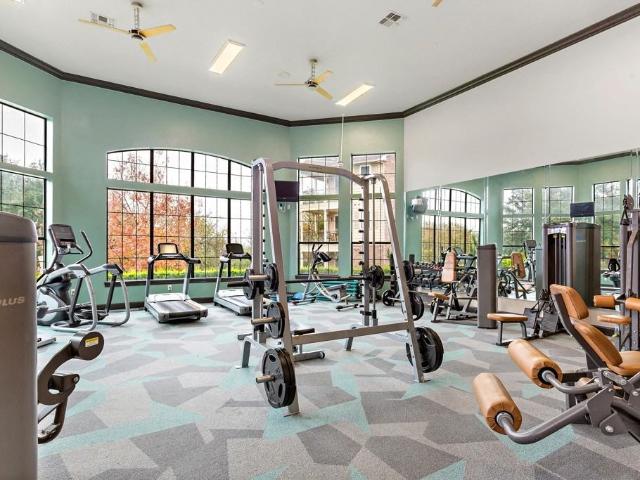 The Vista on Brodie 1 Bedroom Apartment for Rent at 8515 Brodie Ln, Austin, TX 78745