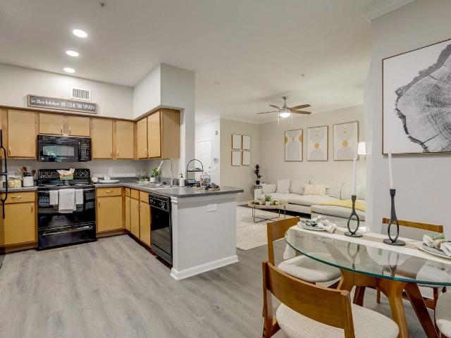 The Vista on Brodie 1 Bedroom Apartment for Rent at 8515 Brodie Ln, Austin, TX 78745