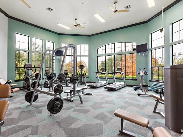 The Vista on Brodie 3 Bedroom Apartment for Rent at 8515 Brodie Ln, Austin, TX 78745