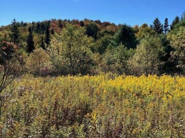 Theresa Ln, Wilmington, Plot For Sale
