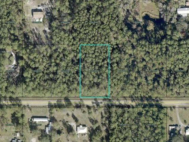 Theresa St, Hastings, FL 32145