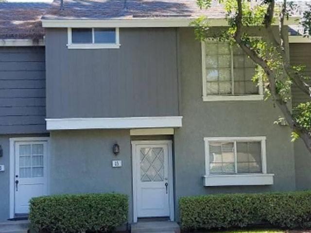 Thicket # 29