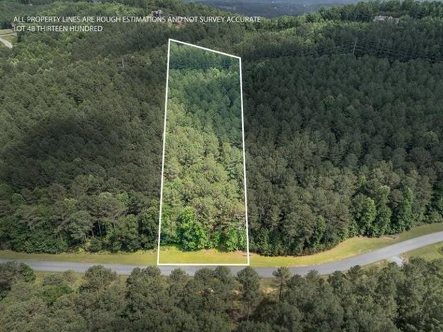 Thirteen Hundred Lot 48, Blairsville, GA 30512