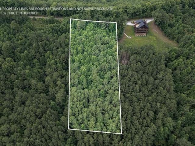 Thirteen Hundred Lot 82, Blairsville, GA 30512