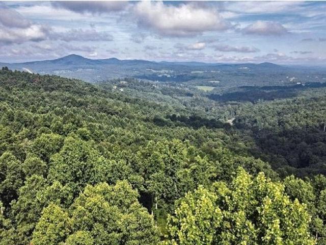 Thirteen Hundred Lot 95, Blairsville, GA 30512