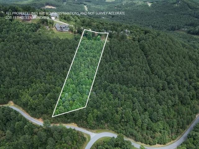Thirteen Hundred Lot 13, Blairsville, GA 30512