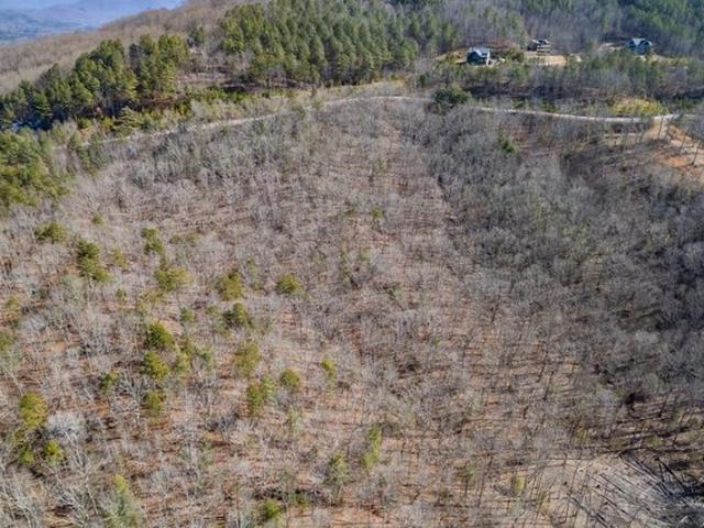 Thirteen Hundred Lot 370, Blairsville, GA 30512