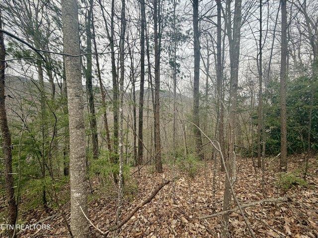 Thissa Way Lot 6, Gatlinburg, TN 37738