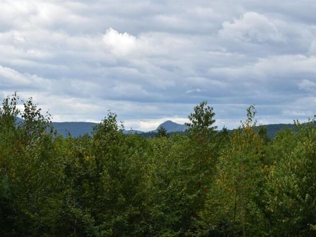 Thistle Hill Pl Lot,rutland Town, Plot For Sale