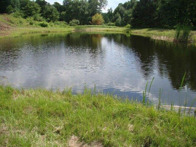 Thrall Rd, Poultney, Home For Sale