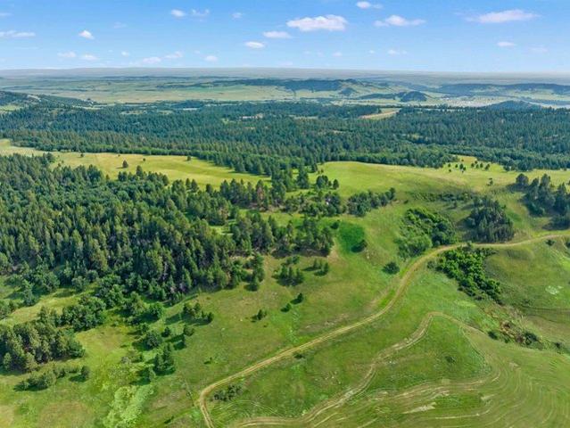 Three Peaks Pass Lot 42, Whitewood, SD 57793
