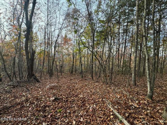 Three Point Tract 3 Rd 004.03, Vonore, TN 37885