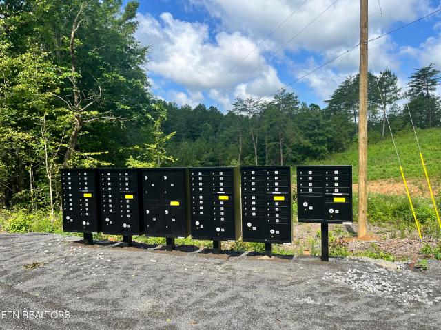 Three Point Rd, Madisonville, TN 37354