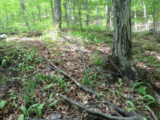 Threshold Way, Corinth, Plot For Sale