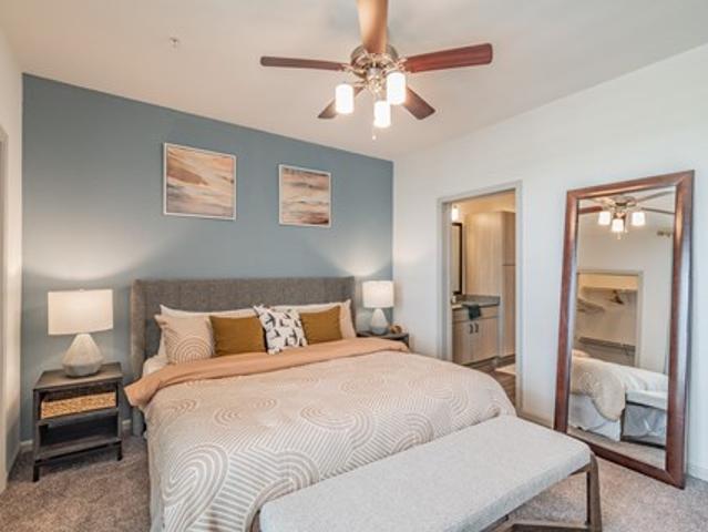 Thrive Luxury Apartments Murphy