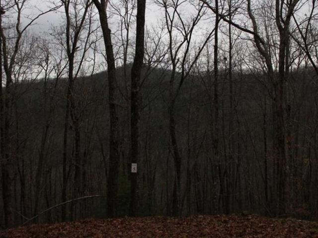 Thunder Rd Lot,hayesville, Plot For Sale