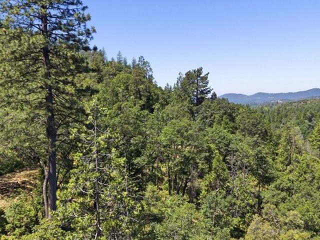 Thunderbolt Dr, Sonora, CA 95370
