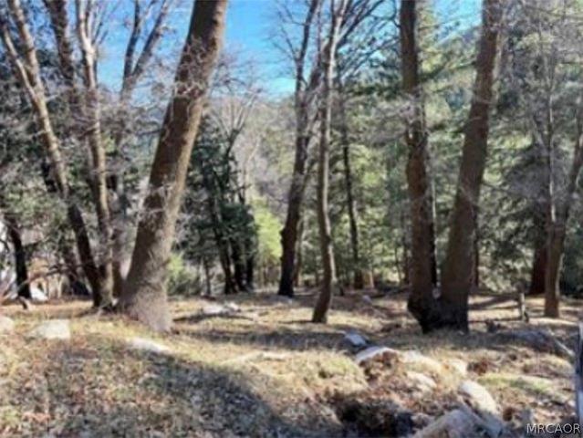 Thunderbird Dr, Cedar Glen, CA 92352