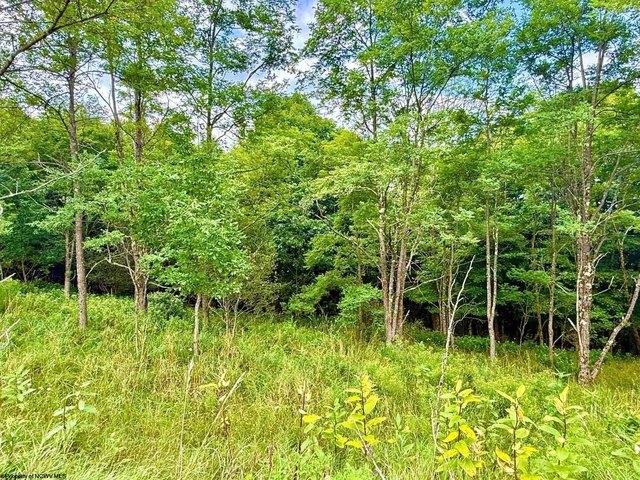 Thunderstruck Rd Lot 46, Harman, WV 26270