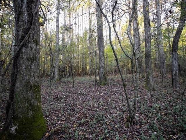 Thurman Baccus Rd, Social Circle, GA 30025