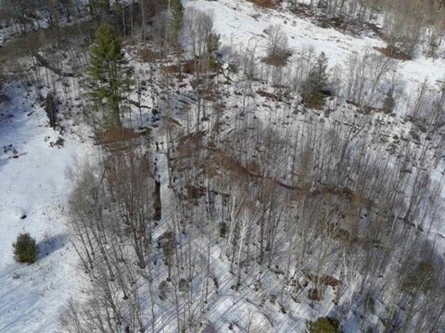 Thurston Hill Rd Lot,roxbury, Plot For Sale