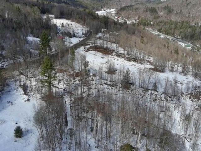Thurston Hill Rd Lot,roxbury, Plot For Sale