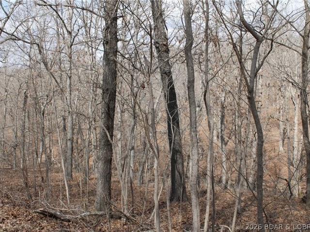 Tim Rd Unit 1903, Edwards, MO 65326