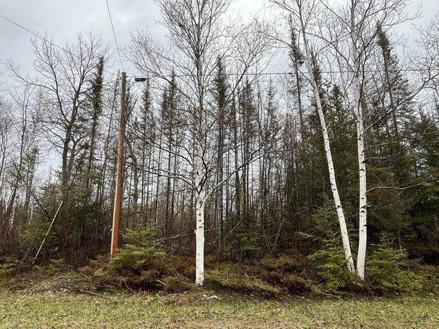 Timberway Dr Lot 170, Presque Isle, MI 49777