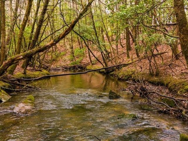 Timberwood Trce, Monteagle, TN 37356