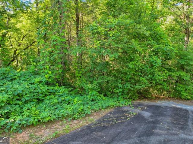 Timber Creek Dr Lot 112, Clayton, GA 30525