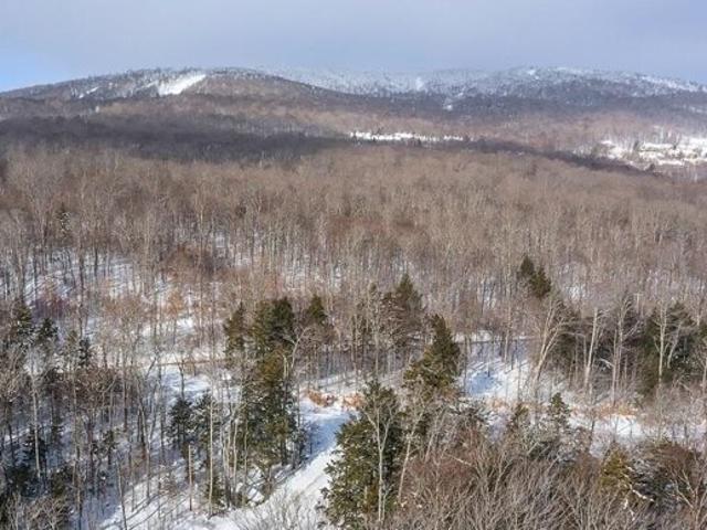 Timber Creek Rd Lot,ludlow, Plot For Sale